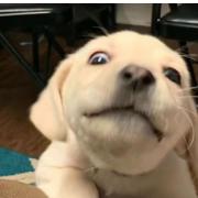 Object literal must correspond to some explicitly declared class or interface (arkts-no-untyped ...