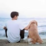 Use explicit types instead of "any", "unknown" (arkts-no-any-unknown)-华为开发者问答 | 华为开发者联盟